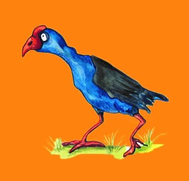 go pūkeko